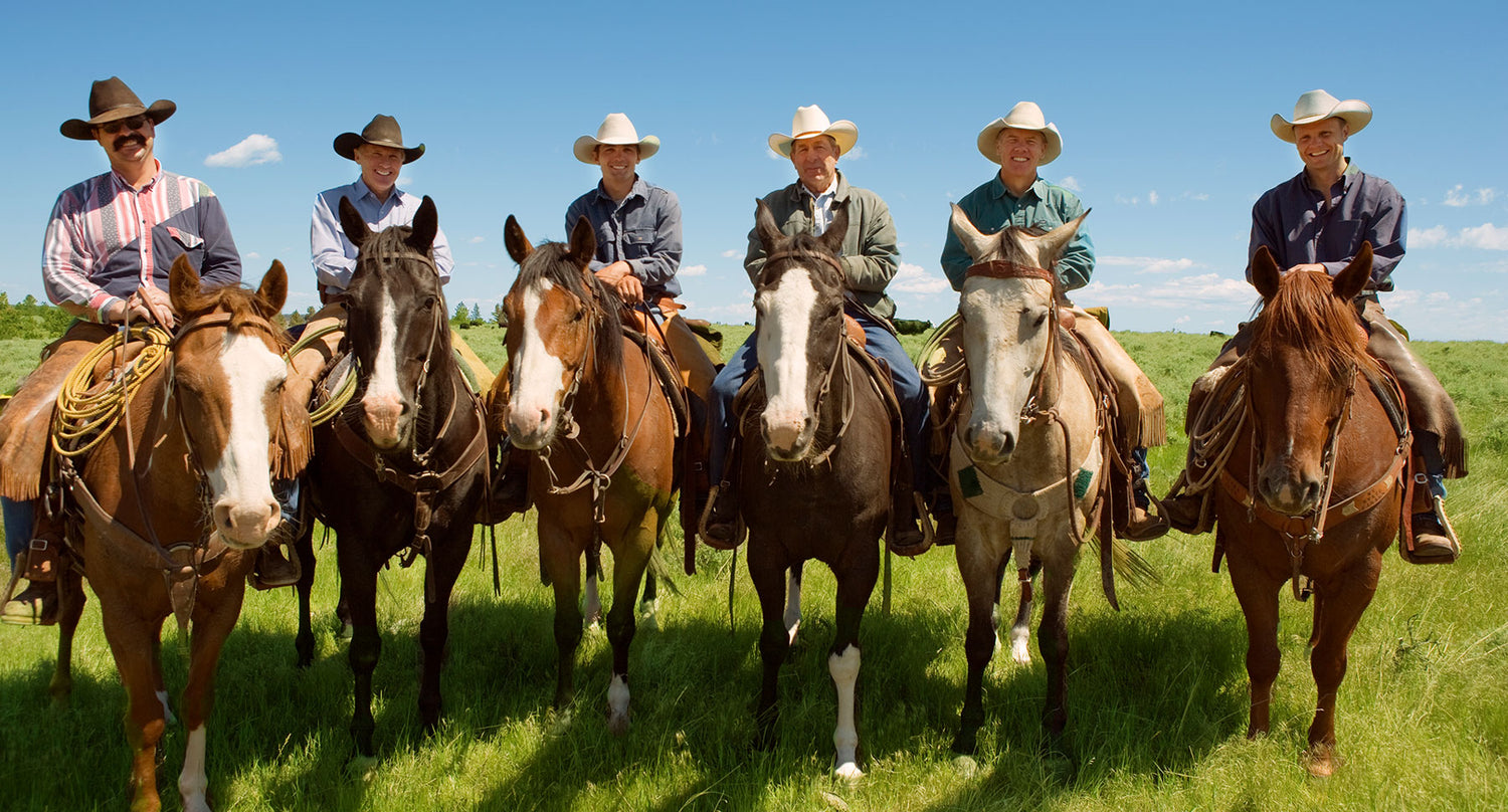 Half Cow For Sale - HalfCowForSale.com